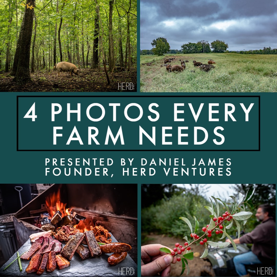 4 Photos Every Farm Needs Webinar – Virginia Farmers Market Association